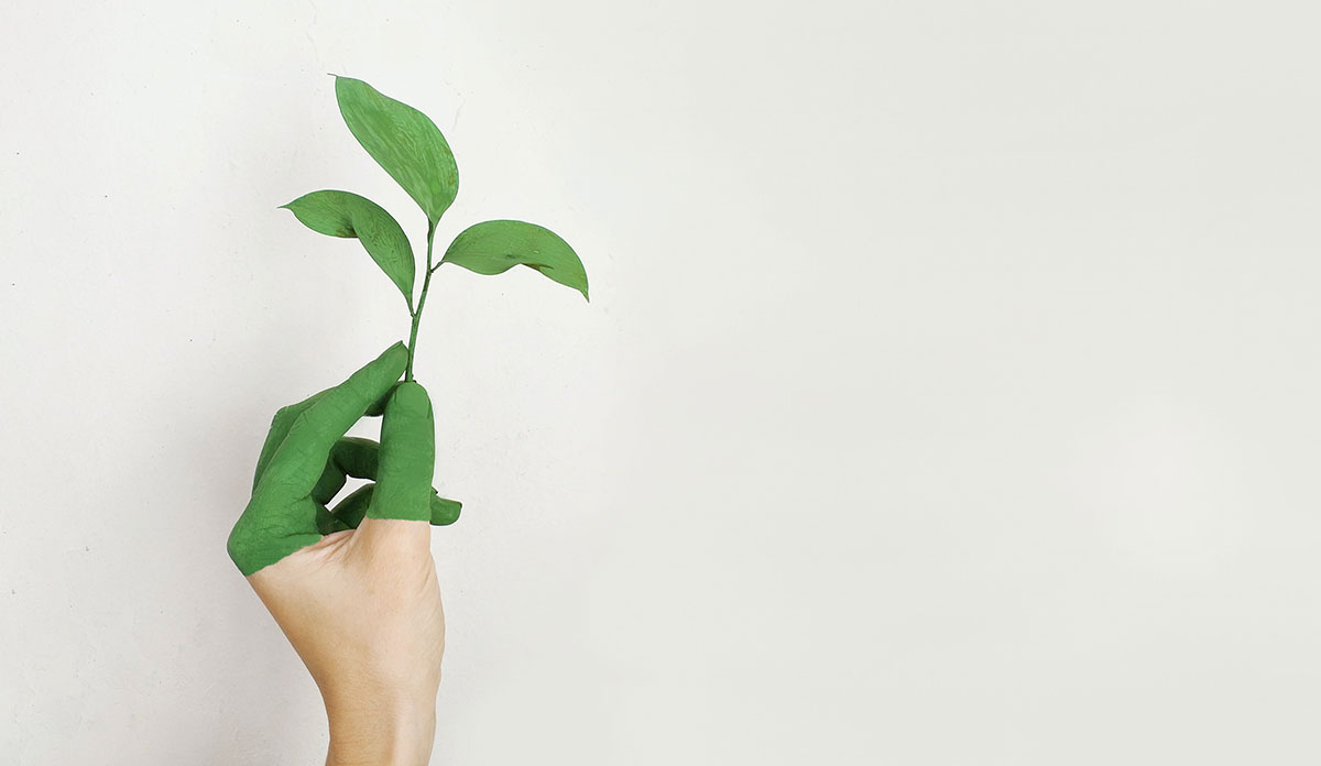 Green Sourcing: How Sustainable and Ethical Practices Benefit Your ...