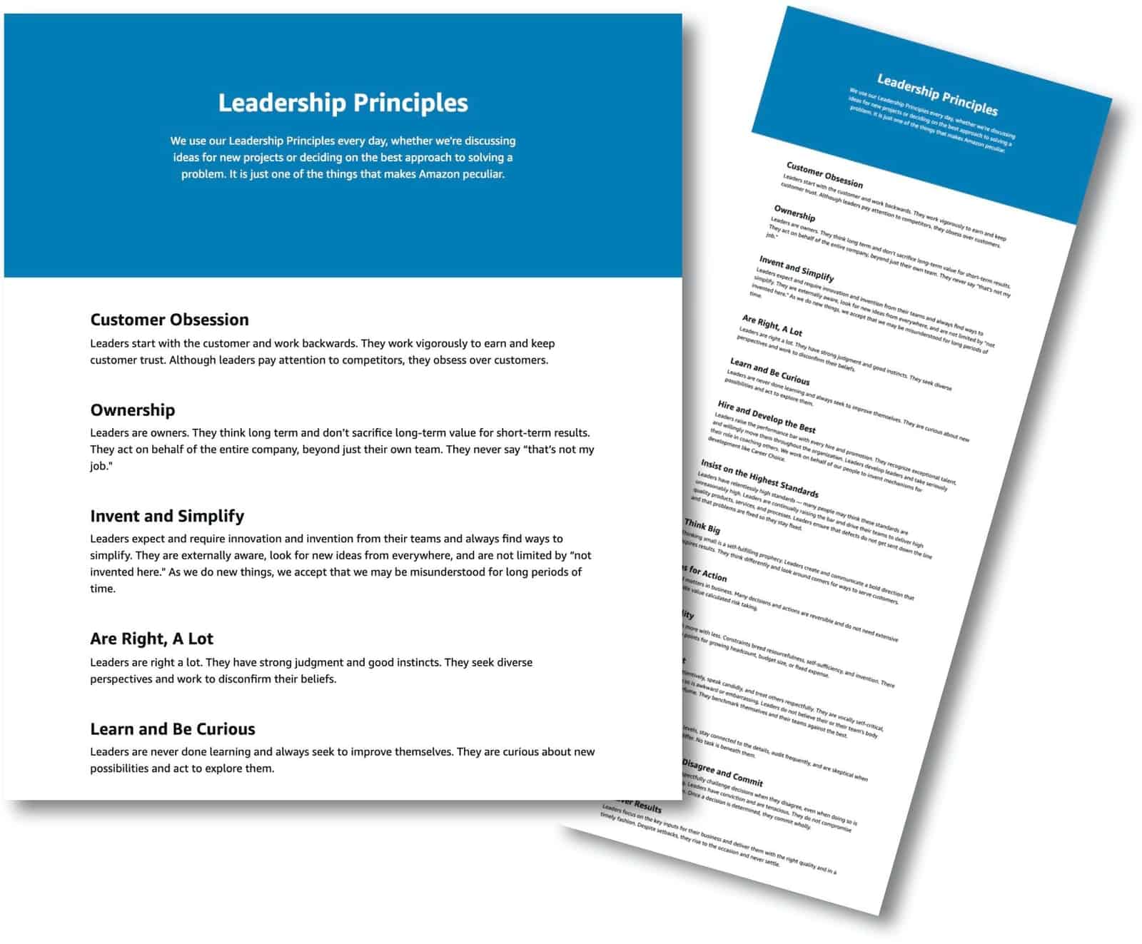 Why Decision Principles? | Principles Guidebook