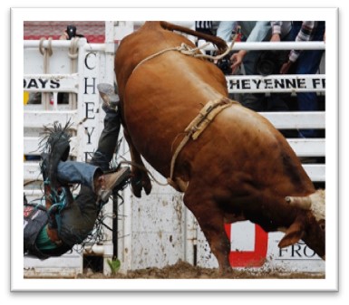 Fostering Community Goodwill and Partnerships Case Study | Linhart PR