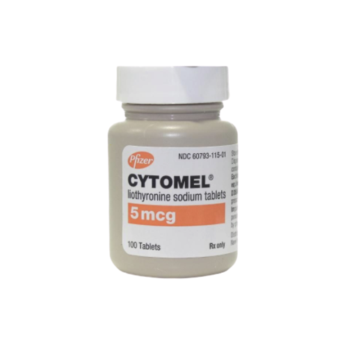 Thyroid drugs for hypothyroidism | Paloma Health