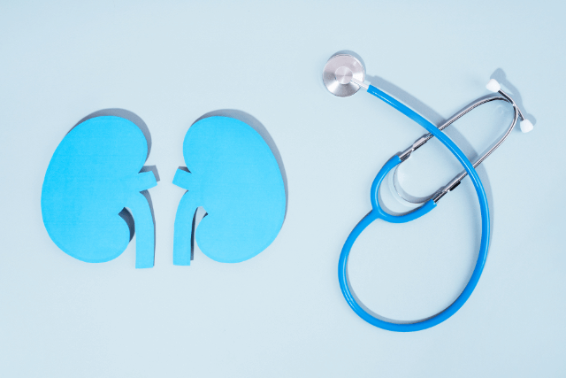 Hypothyroidism, Hashimoto’s, and Your Kidneys | Paloma Health