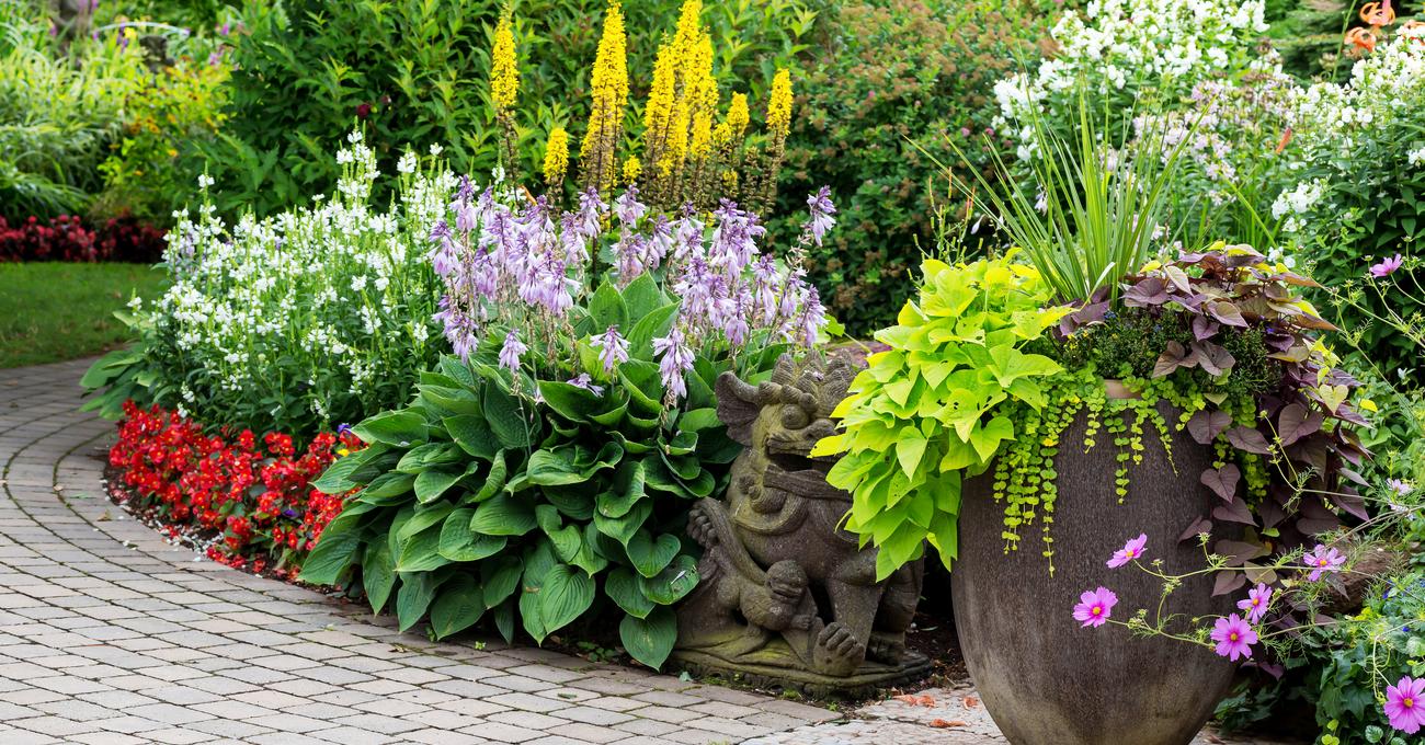 Design A Flower Garden Layout Step by Step Retire Fearless