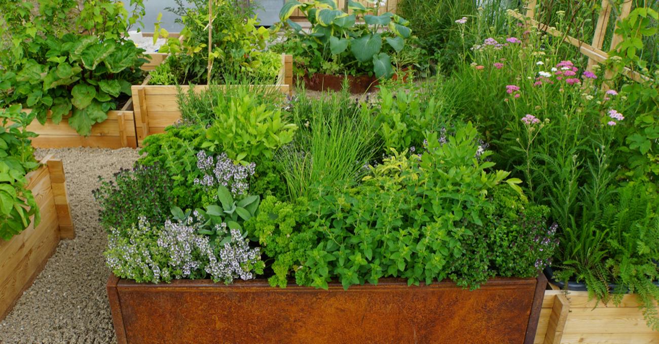 How To Design an Herb Garden | Retire Fearless