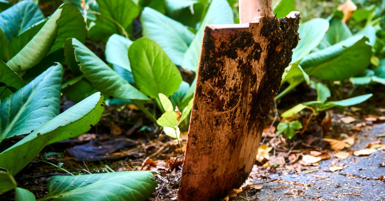 Soil Adhesion Vs Cohesion | Retire Fearless