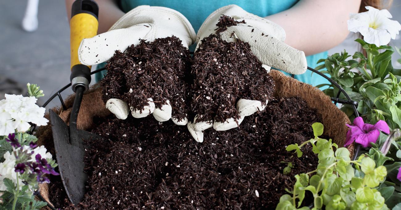 Soil Vs Coco | Retire Fearless