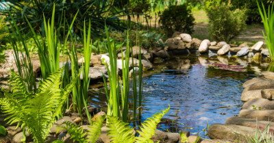 Navigate Retirement With Poise | Retire Fearless