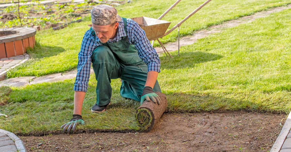 How to Plant Grass Runners | Retire Fearless