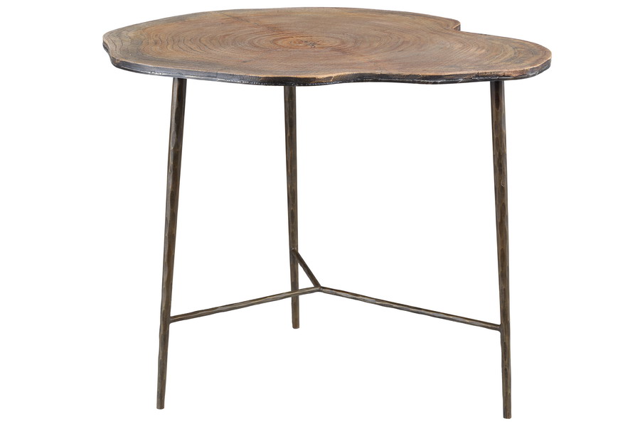 Artisan - Elm and Iron Small Side Table | Living & Dining Furniture ...