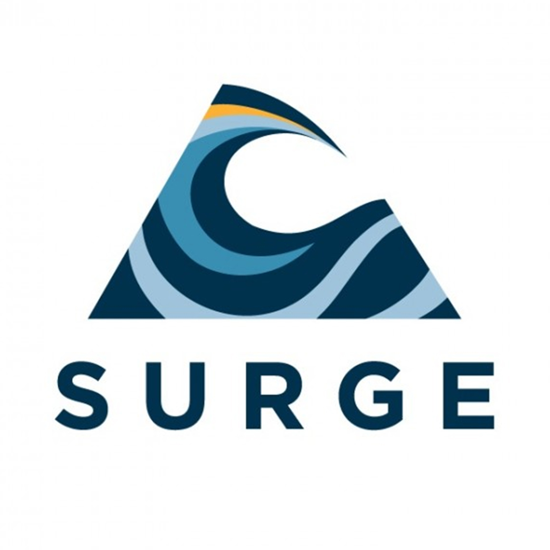 “Wrapping up SURGE Class 3: SURGE DAY 2014” - via SURGE Accelerator
