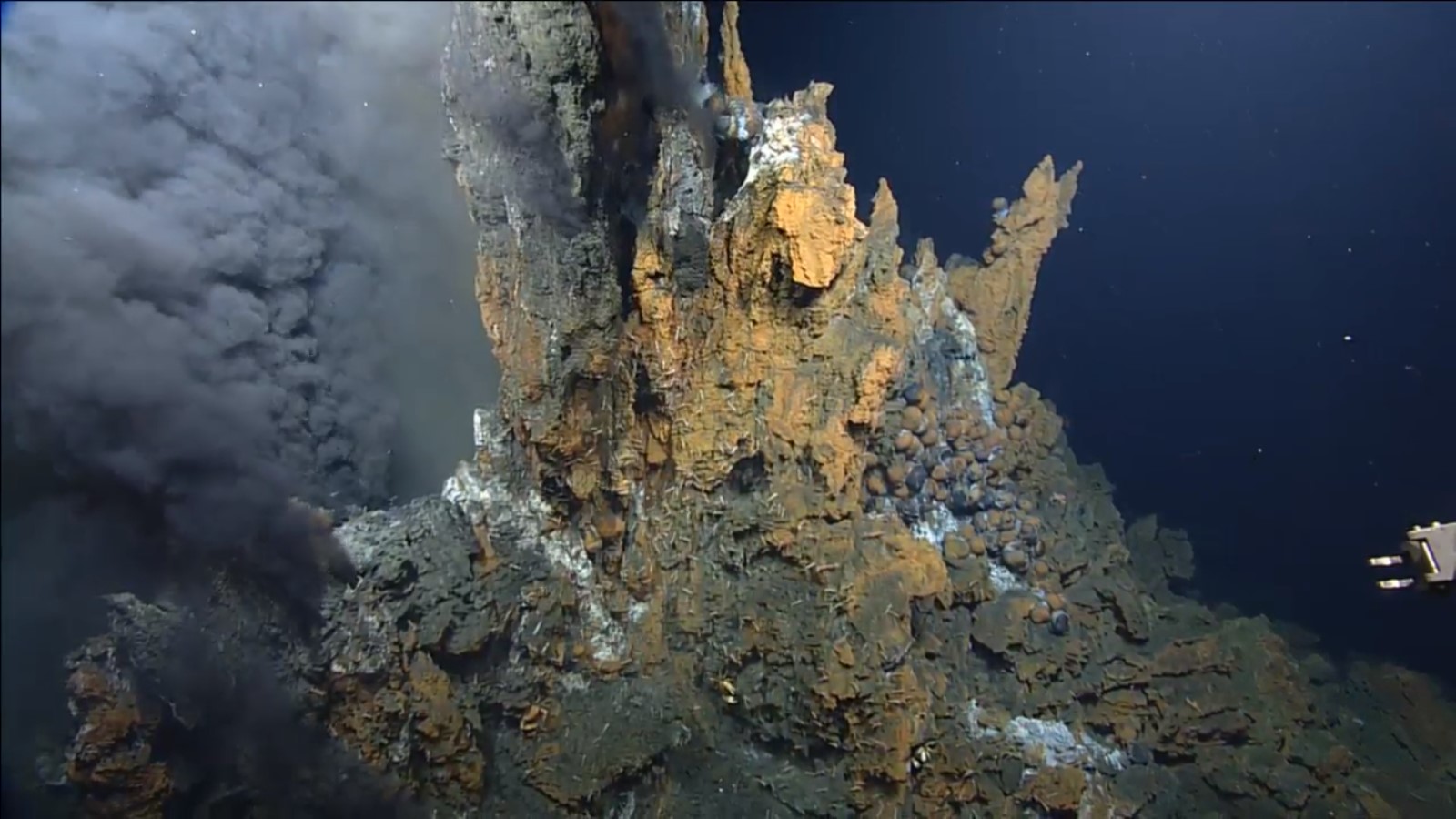 Virtual Field Trip: ROV SuBastian in Action