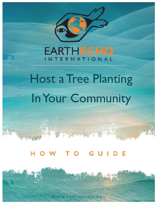 Virtual Field Trip: Tree Planting in Ohio