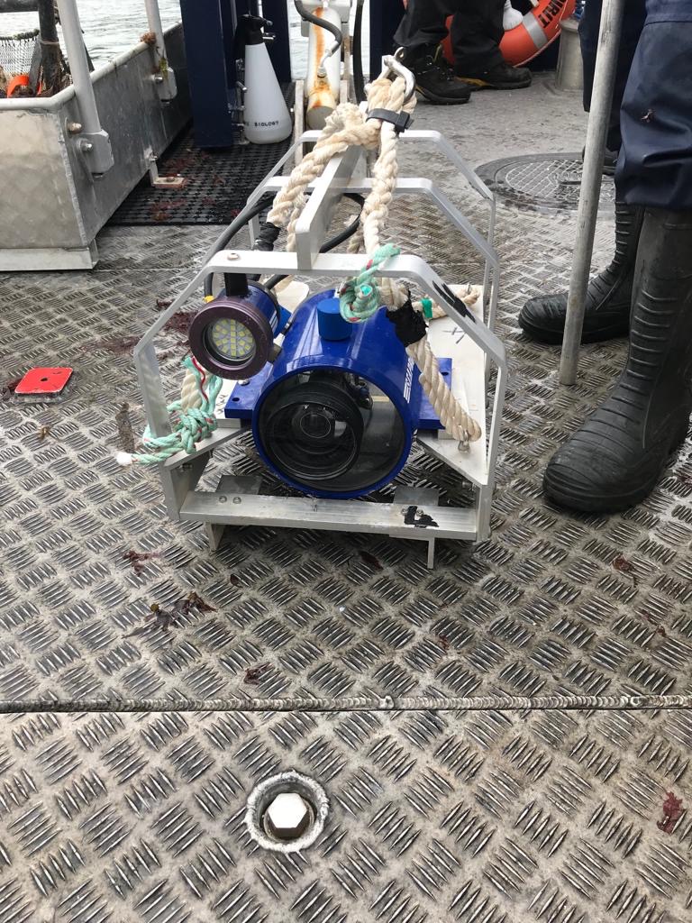 What's the Catch? Instruments to monitor water quality. We can change ...