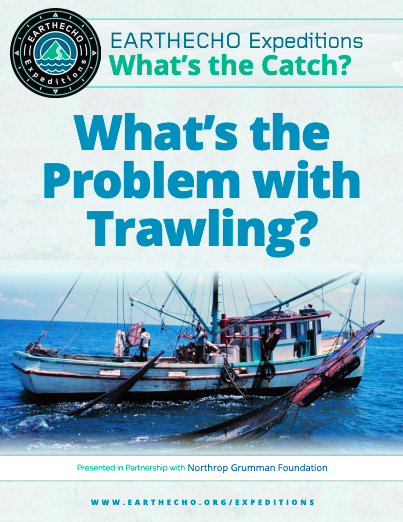 What’s the Problem with Trawling?