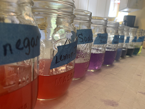 More Snack-Sized Science: pHabulous pHun with pH