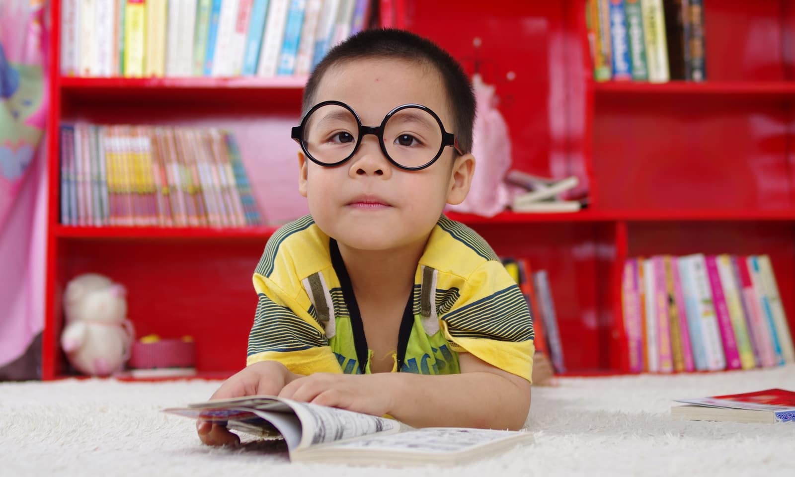 SuccessED | Software Built by Educators for Educators