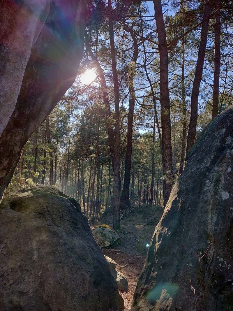 Why do we use Font grading at Chimera?