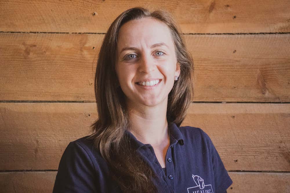 Healing Strides of Virginia | Equine Therapy | Equine Assisted Programs ...