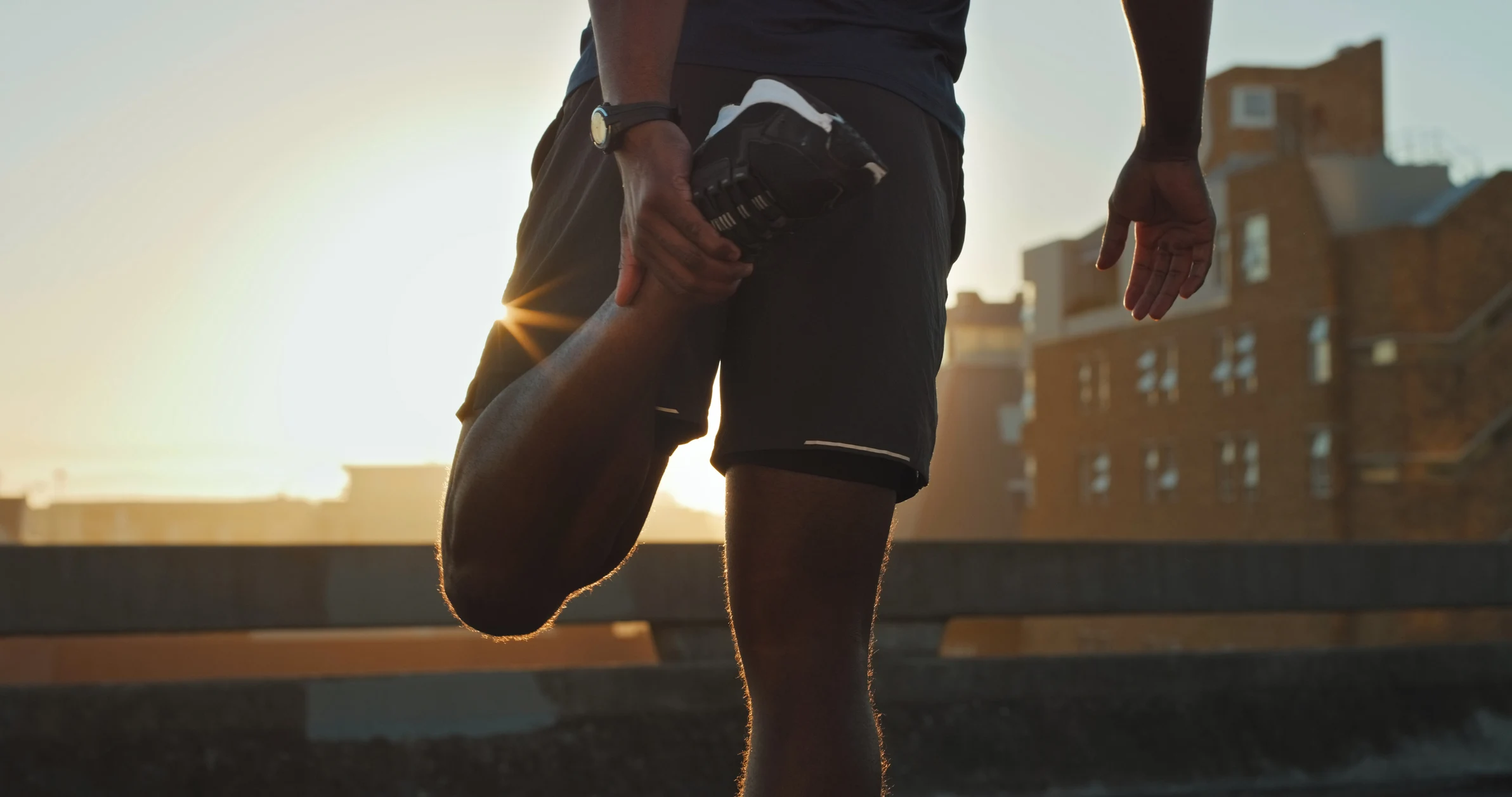 A Physiotherapist’s Guide to the Quadriceps - Articles & Advice | White ...