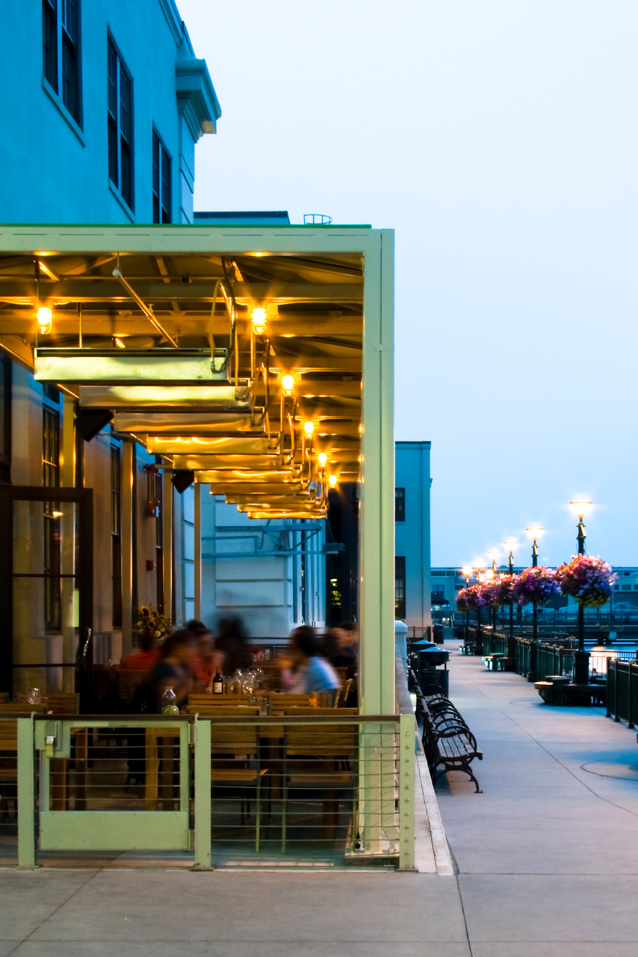 The Plant: Café Organic | Restaurants | Cass Calder Smith