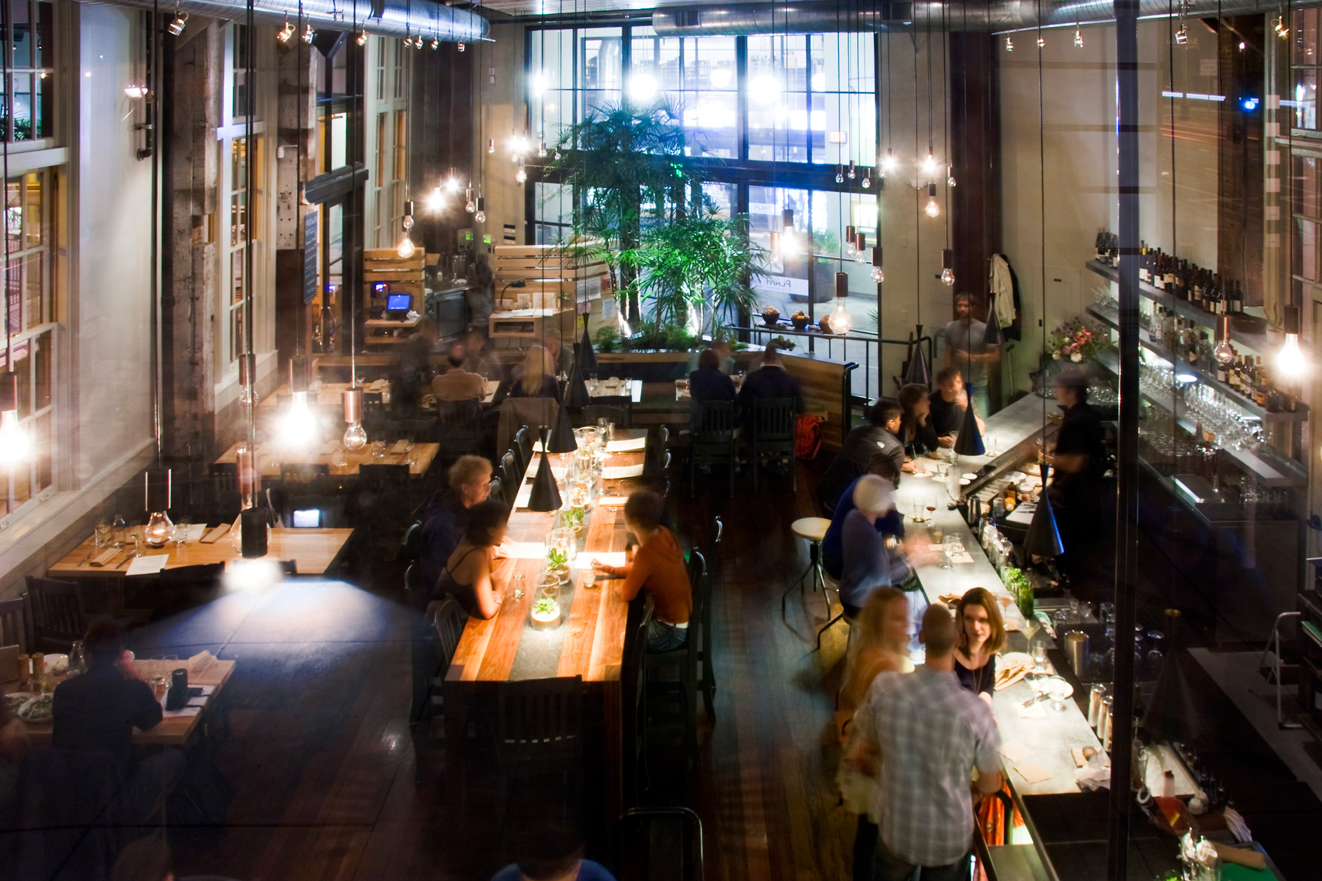 The Plant: Café Organic | Restaurants | Cass Calder Smith