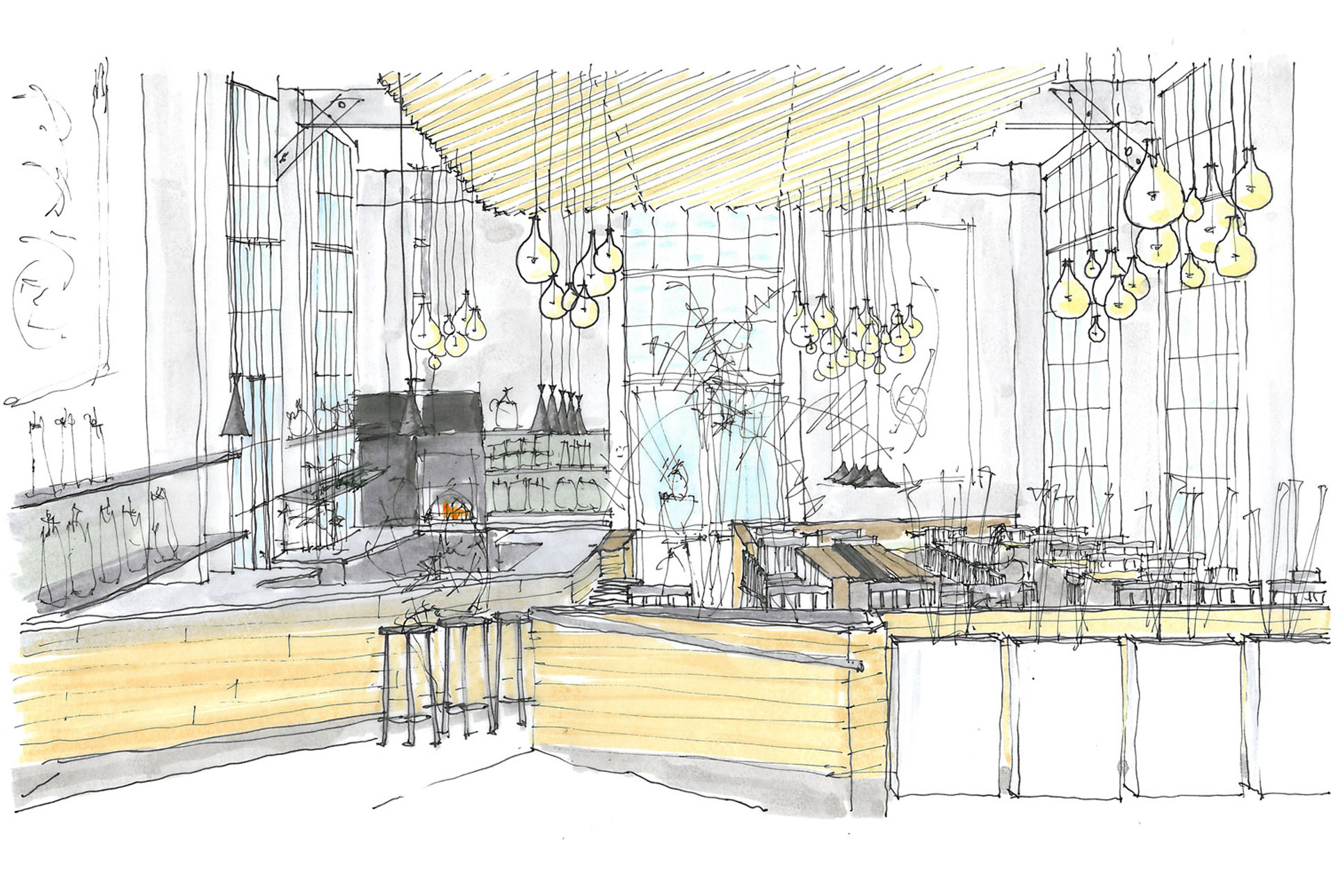 The Plant: Café Organic | Restaurants | Cass Calder Smith