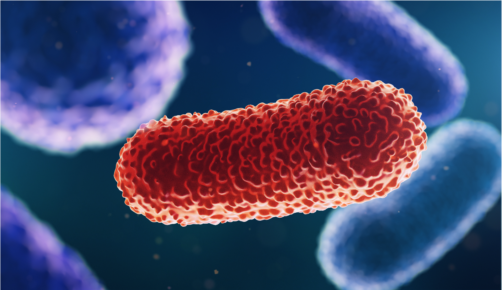 Shock settico: cos'è e quali sono cause, sintomi e cure | Mario Negri