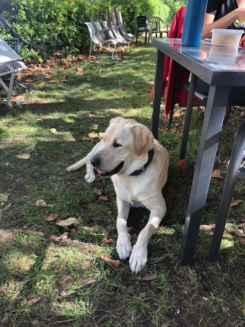 Nous accueillons JEKO, nouveau résident