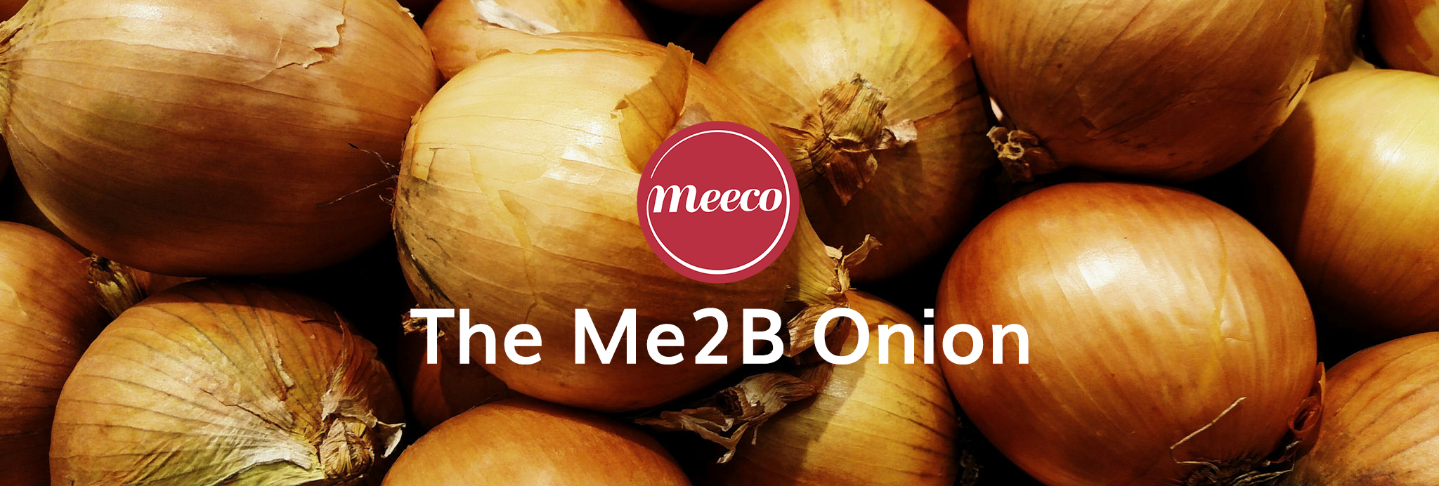 The Me2B Onion