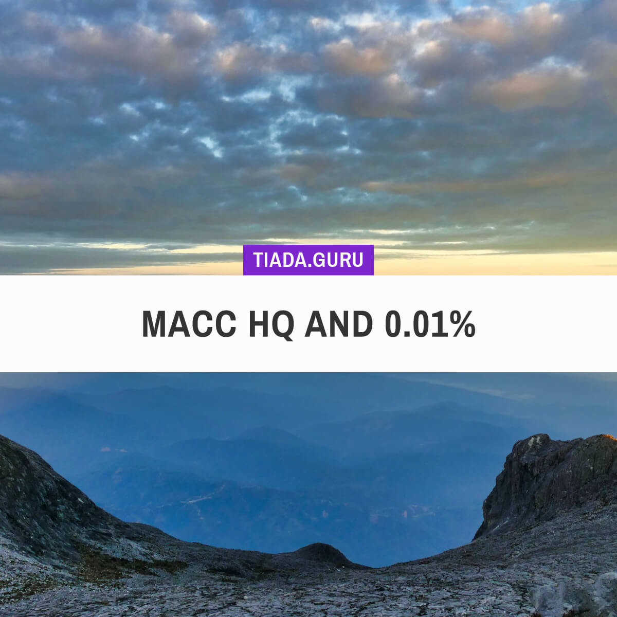 MACC HQ and 0.01% — TG