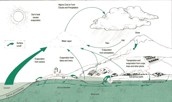 Groundwater Flow and the Water Cycle
