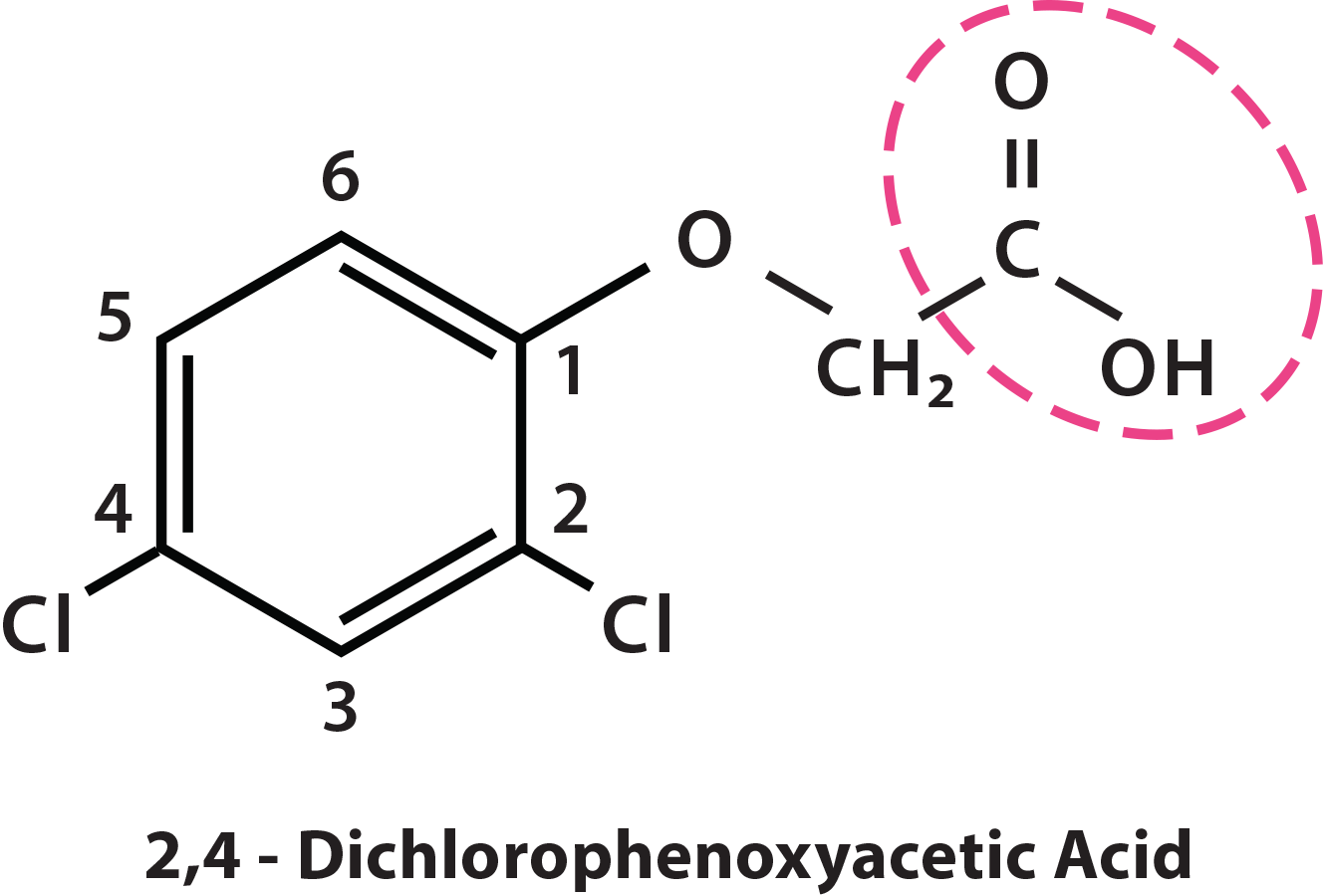Water Science Basics | Introduction to Organic Chemistry