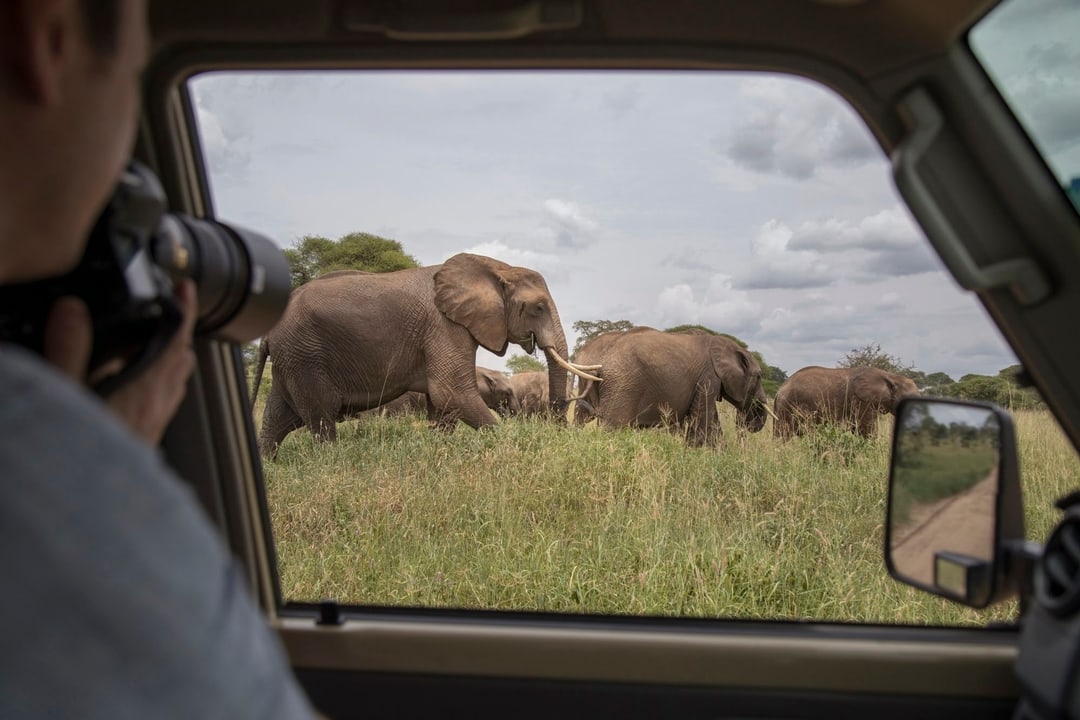 Safari Drive | 4x4 Vehicles in Africa