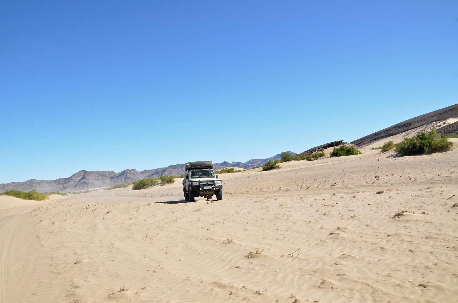 10 Amazing Facts About Namibia | Safari Drive