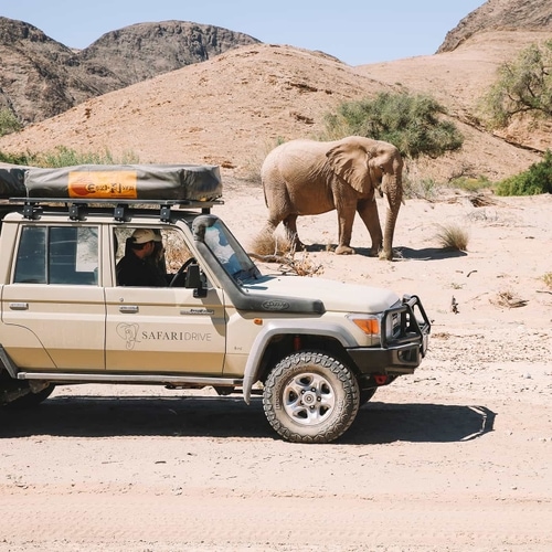 Safari Drive | 4x4 Vehicles in Africa