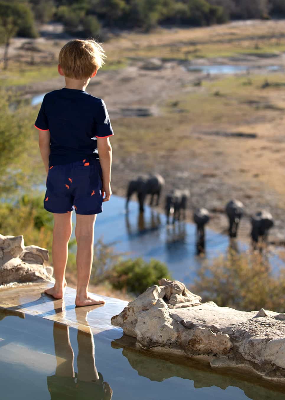 Safari Drive | Self-Drive Family Adventures