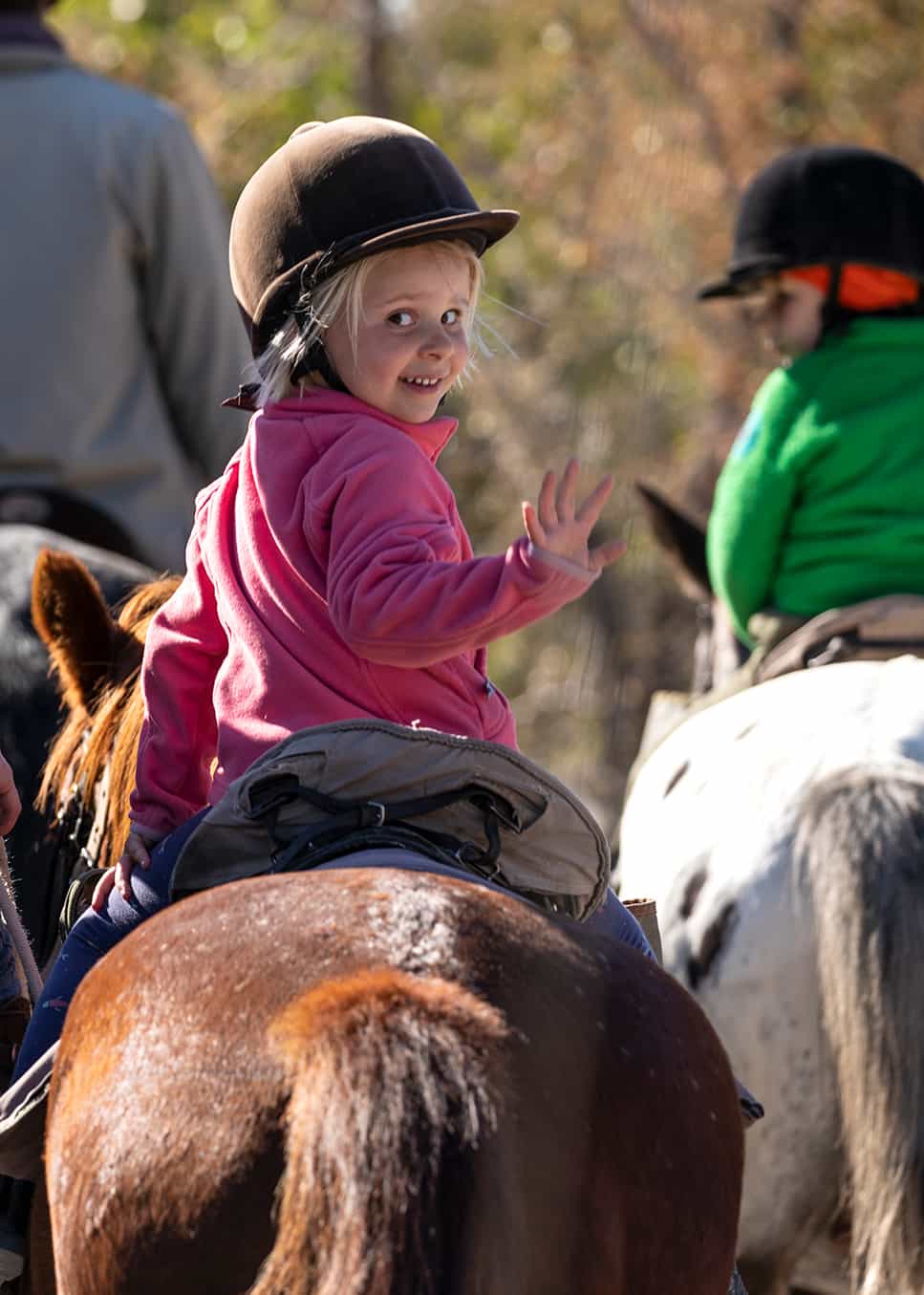 Safari Drive | Self-Drive Family Adventures