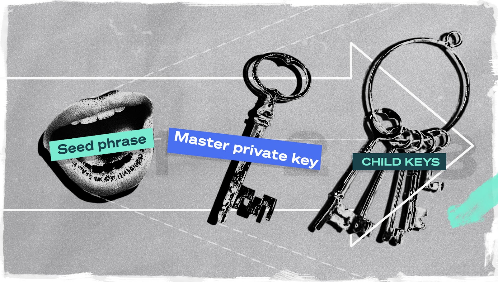 A Gentle Introduction To Hierarchical Deterministic (HD) Wallets | Newton Blog
