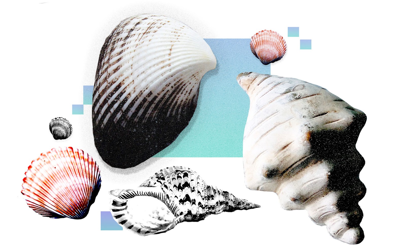 Bitcoin: The 6 Properties of Money | Newton Blog