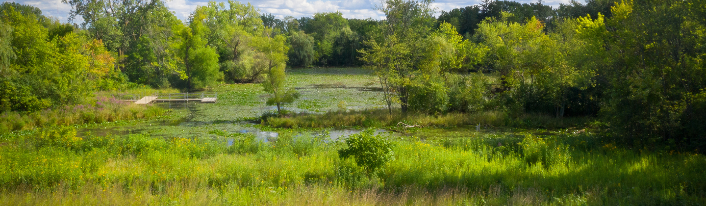 Sugar Bush Fair Canceled | Schaumburg Park District
