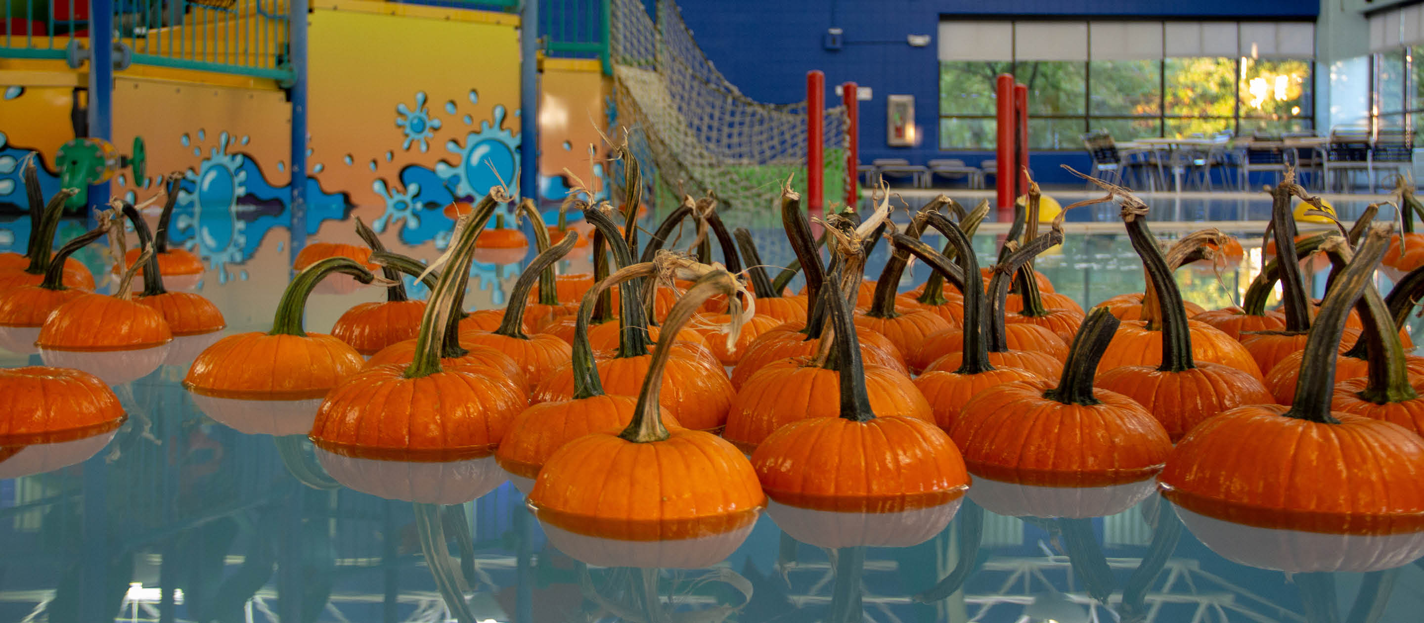 Pumpkin Splash | Schaumburg Park District