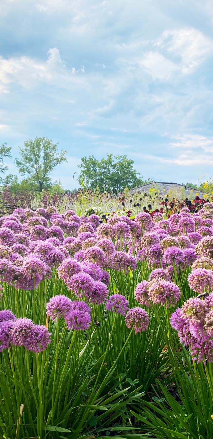 Home | Schaumburg Park District