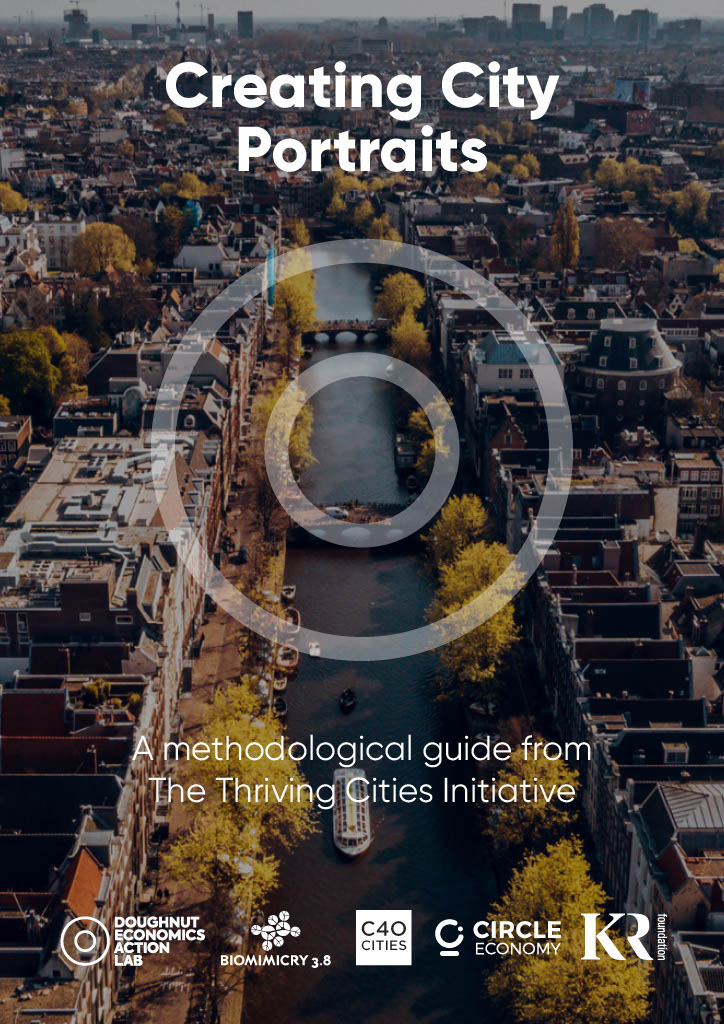 Creating City Portraits - A methodological guide from the Thriving ...