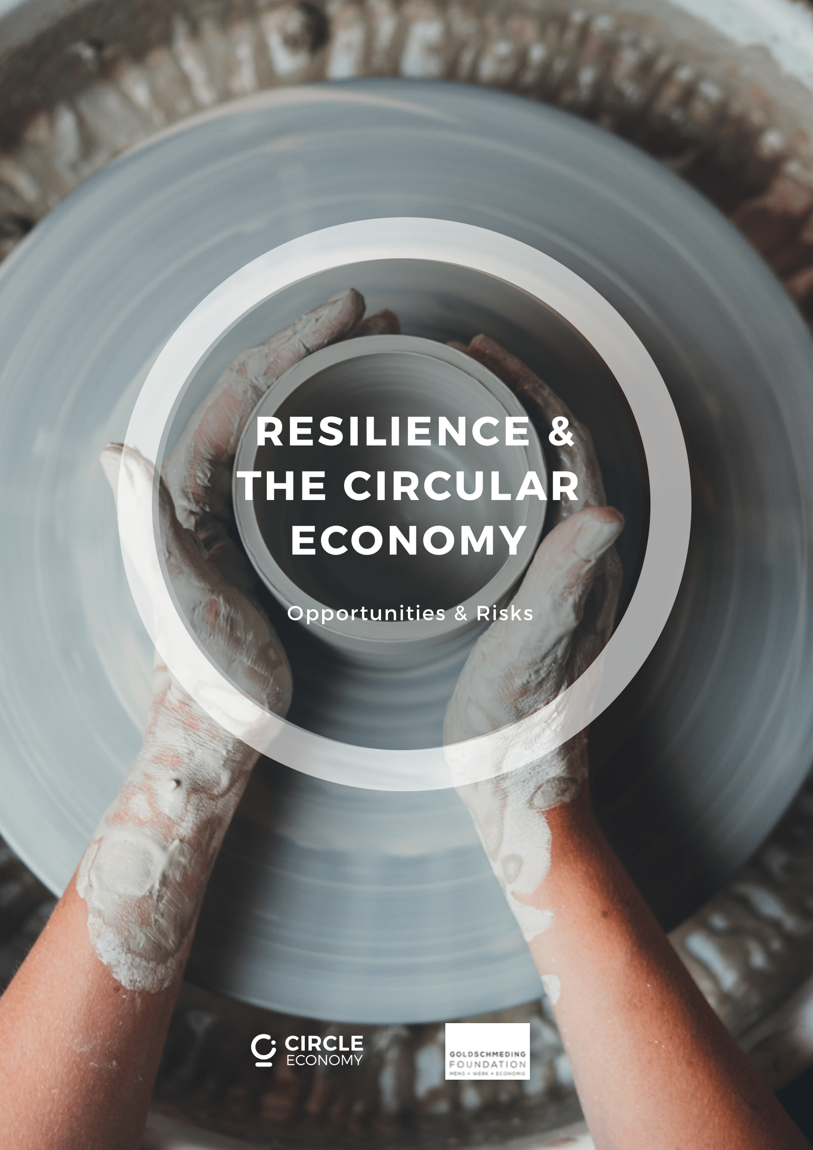 Resilience and the circular economy: Opportunities and risks - Insights ...