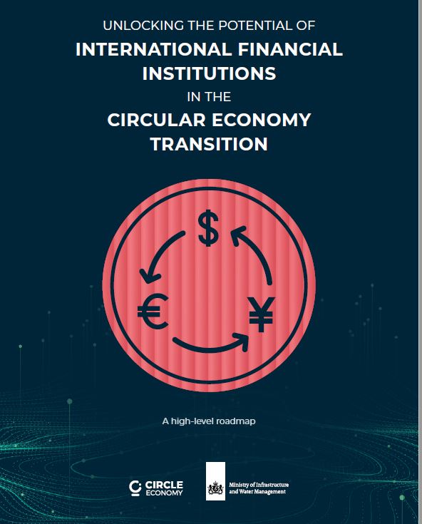 Unlocking the potential of International Financial Institutions in the ...