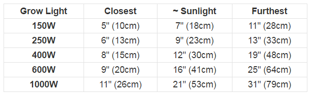 11 Easy Guidelines To Know Before Buying Grow Lights