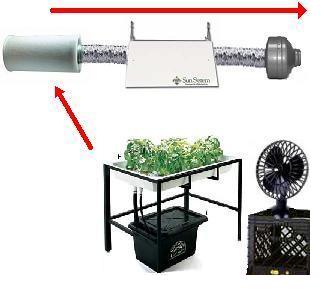 11 Easy Guidelines To Know Before Buying Grow Lights