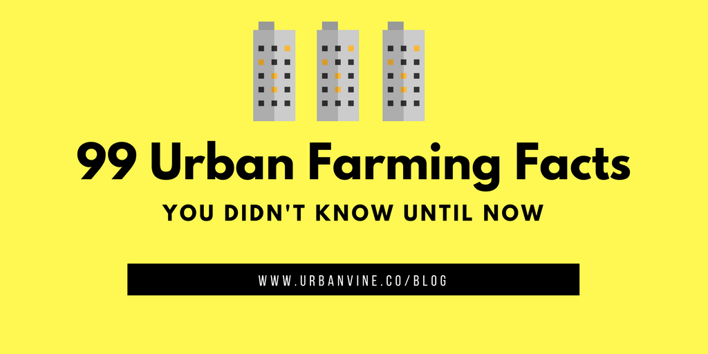Urban Farming: The Ultimate Guide (99 Surprising Facts)