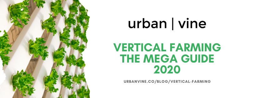 Vertical Farming 2021 (The MEGA Report)