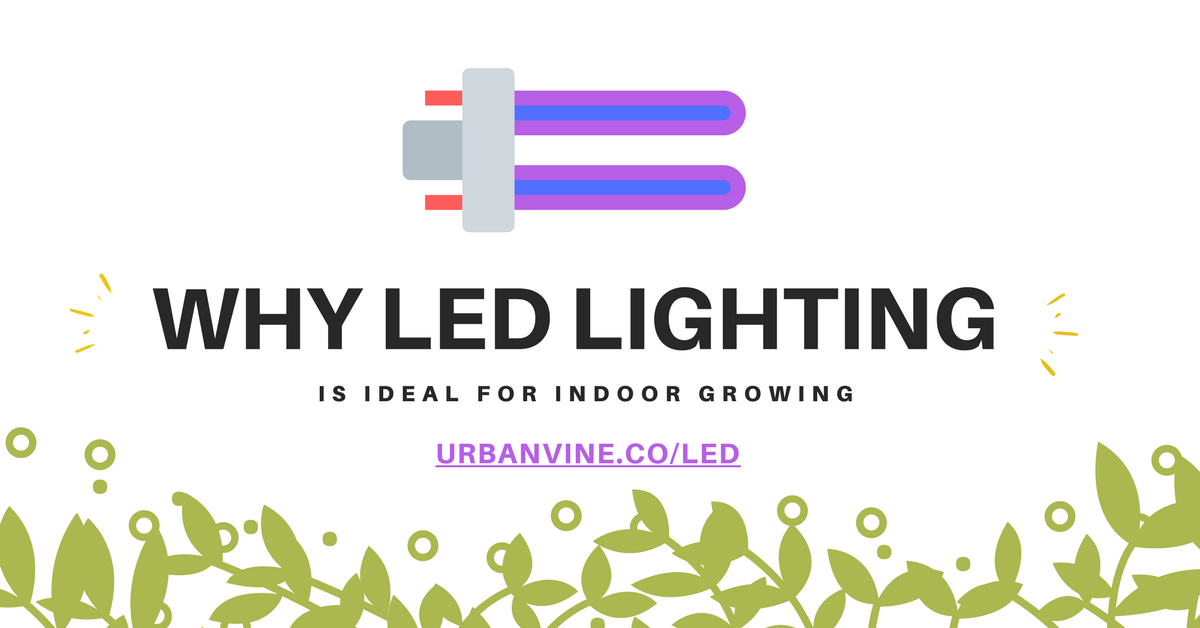 Why LEDs Work So Well For Indoor Growing