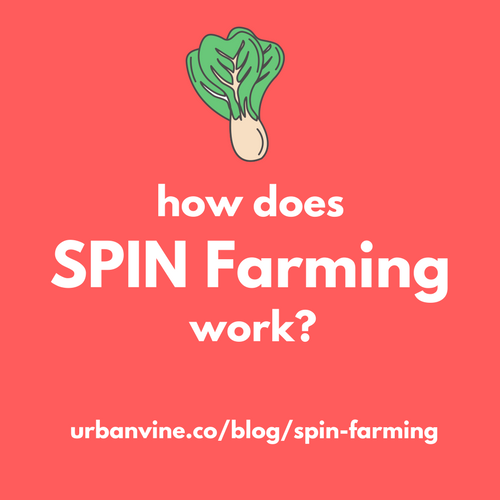 How Does SPIN Farming Work? (A Quick and Simple Guide)